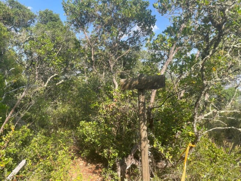 From Montemor or Évora: Guided Hike to Almendres Megalithic - What Do the Reviews Reveal?