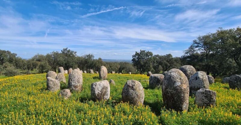 From Montemor or Évora: Guided Hike to Almendres Megalithic - Who Should Consider This Tour?