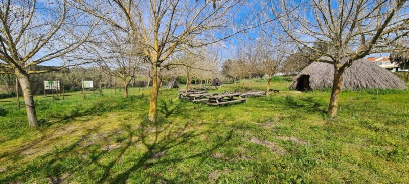 From Montemor or Évora: Guided Hike to Almendres Megalithic - Frequently Asked Questions