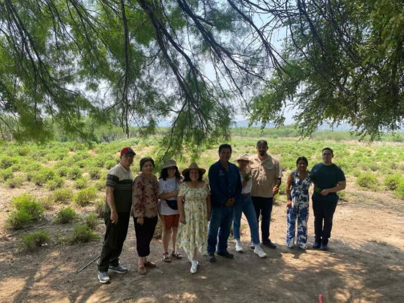 From Monterrey: Tour of the Magical Town of Higueras - Practical Details Matter