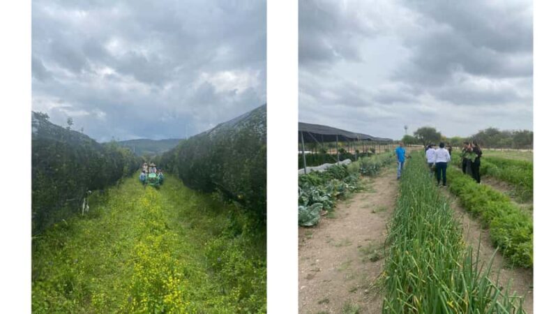 From Monterrey: Visits to the Organic Gardens - Key Points