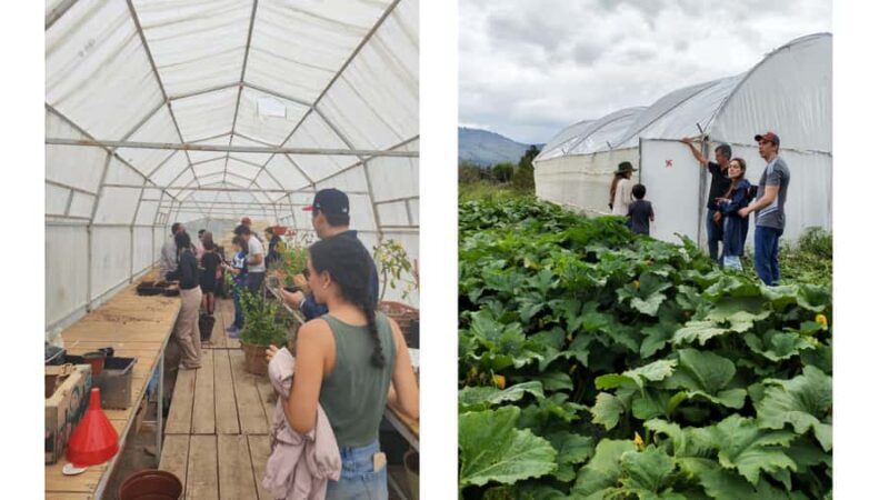 From Monterrey: Visits to the Organic Gardens - An In-Depth Look at the Tour Experience