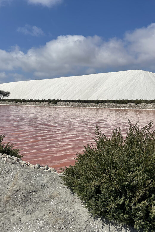 From Montpellier: Camargue and Salt Marshes Guided Tour - FAQ