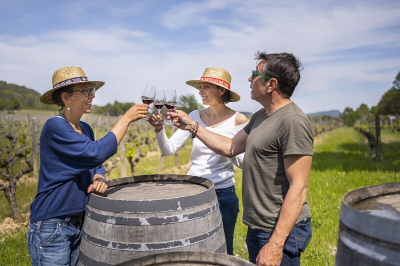 From Montpellier: Half-Day Vineyard & Pic Saint-Loup Tour - Why Consider This Tour?