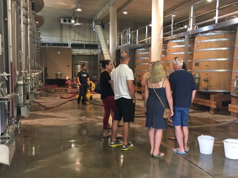 From Montpellier: Half-Day Vineyard & Pic Saint-Loup Tour - What’s Included and What’s Not