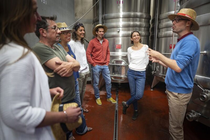 From Montpellier: Half-Day Vineyard & Pic Saint-Loup Tour - How Does It Compare to Other Experiences?