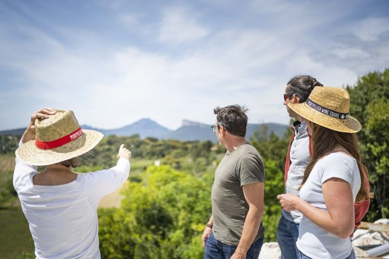 From Montpellier: Half-Day Vineyard & Pic Saint-Loup Tour - FAQ