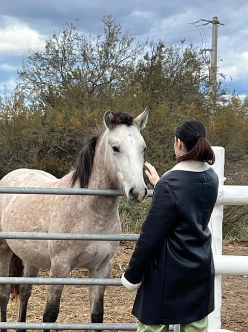 From Montpellier: Visit of Camargue and Aigues-Mortes - Why This Tour Stands Out