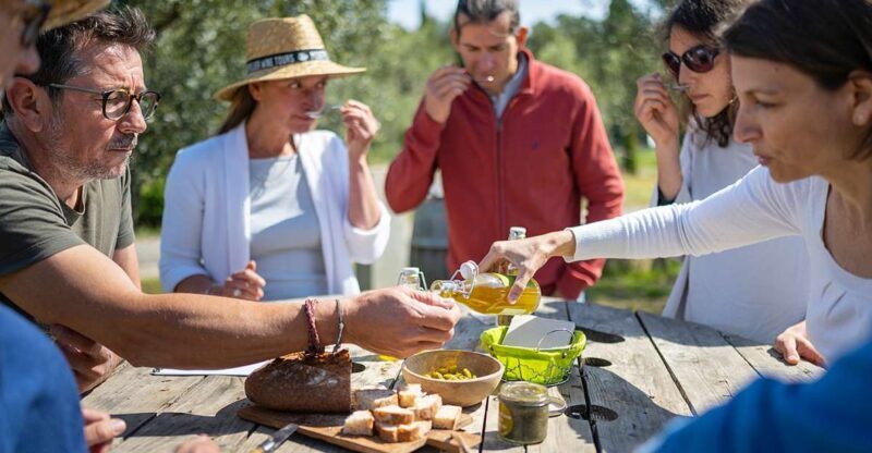 From Montpellier: Wine and Olive Tour - Key Points