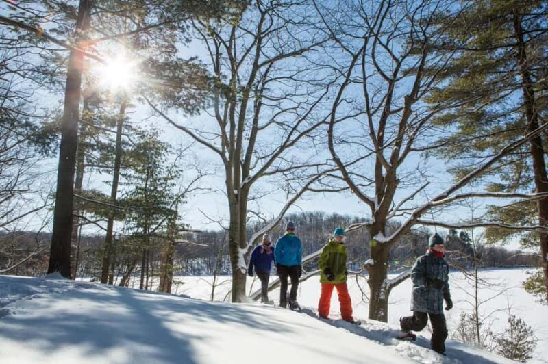 From Montreal: Mont-Saint-Bruno National Park Snowshoe Hike - Trail Highlights