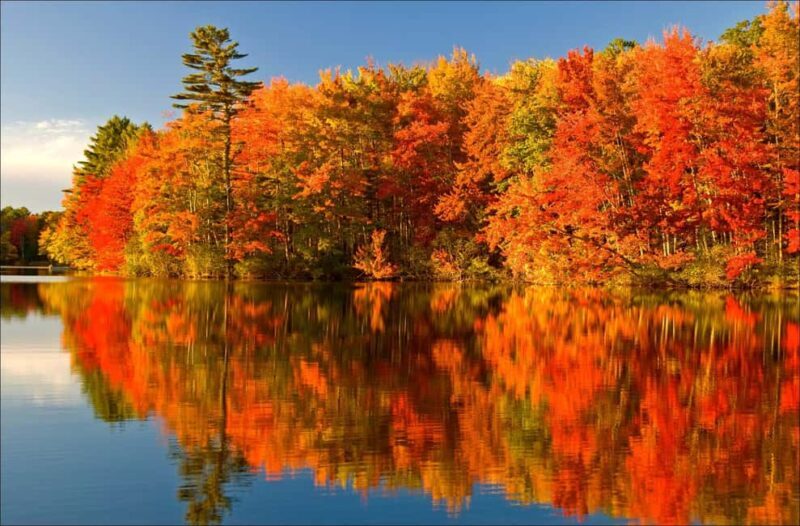 From Montréal: Mont-Tremblant 1-Day Tour - Key Points