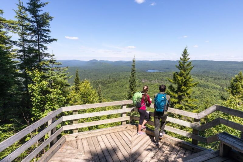 From Montreal: Mont-Tremblant National Park Hiking Day Trip - A Balanced Look at the Mont-Tremblant Day Trip