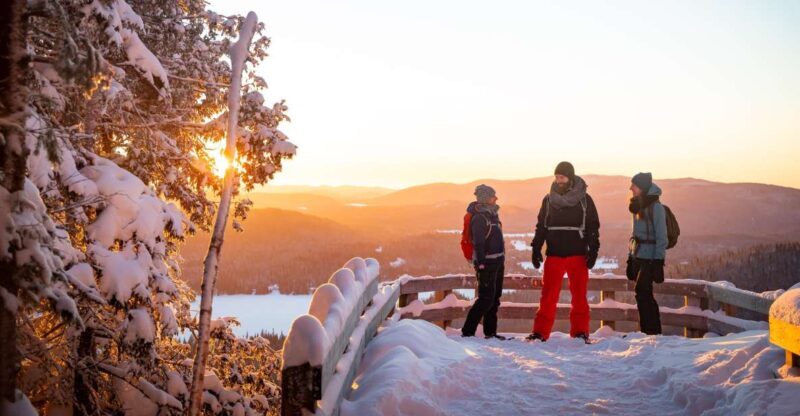 From Montreal: Mont-Tremblant National Park Hiking Day Trip - Who Will Enjoy This Tour?