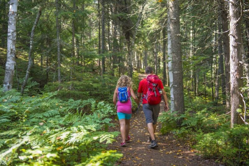 From Montreal: Mont-Tremblant National Park Hiking Day Trip - Conclusions: Who Is This Trip Perfect For?