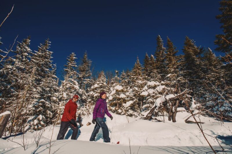 From Montreal: Mont-Tremblant National Park Hiking Day Trip - FAQ