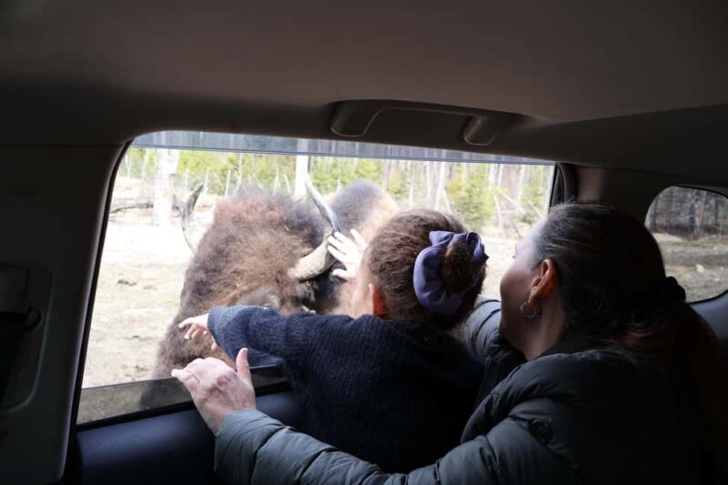 From Montreal: Omega Park Wildlife Safari Calling Sounds - The Detailed Itinerary: What Makes Each Part Special