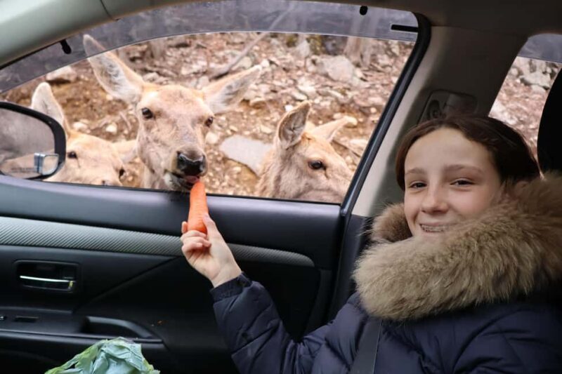 From Montreal: Omega Park Wildlife Safari Calling Sounds - The Value in Context