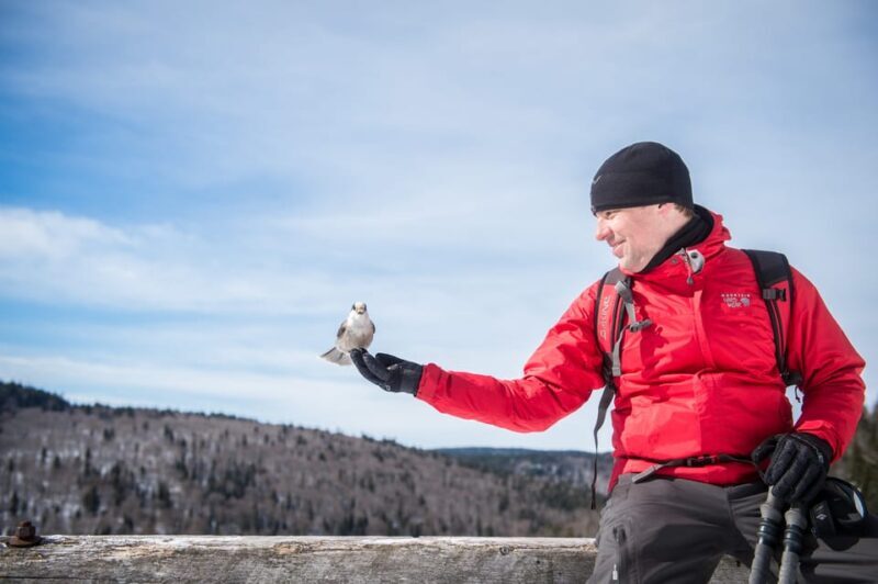From Montreal: Sept-Chutes Regional Park Hike and Swim - Real Traveler Feedback