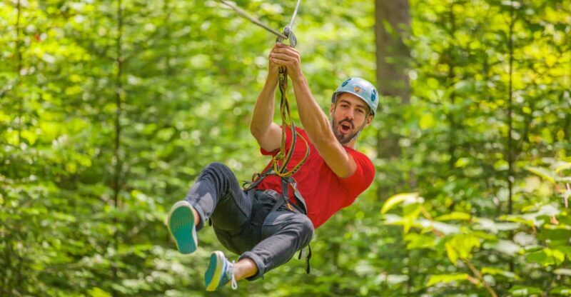 From Montreal: Treetop Trek, Ziplines + beach or waterfall. - Key Points