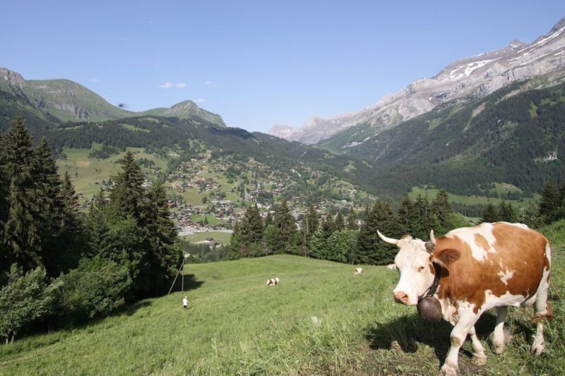 From Montreux: Glacier 3000 Day Trip - Final Words