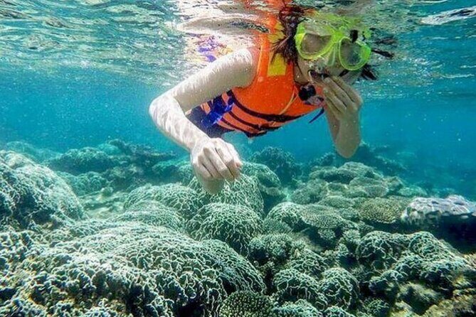 From Mui Ne to Vinh Hy Bay Snorkeling, Hidden Waterfall Adventure - A Deep Dive into the Itinerary