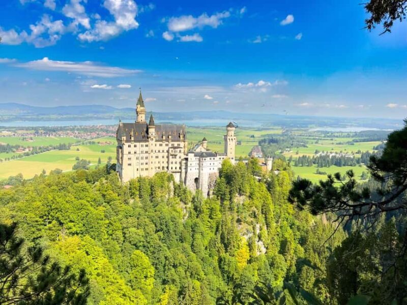 From Munich: Neuschwanstein & Linderhof Castle Day Tour Private 8 Pax - Who Will Love This Tour?