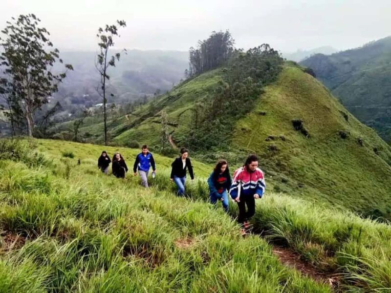 From Munnar: Letchmi Hills Trek Nature Walk Half Day Tour - Key Points