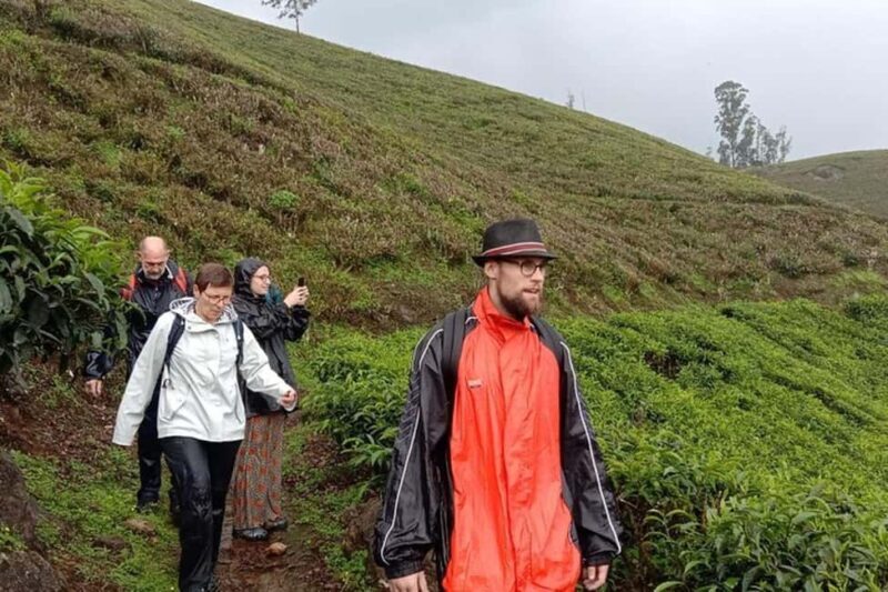 From Munnar: Letchmi Hills Trek Nature Walk Half Day Tour - What Travelers Say
