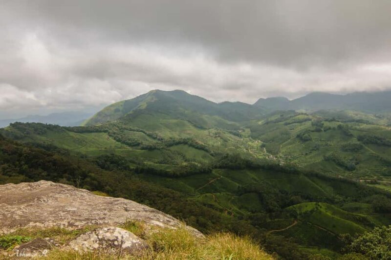 From Munnar: Letchmi Hills Trek Nature Walk Half Day Tour - Who Should Consider This Tour?