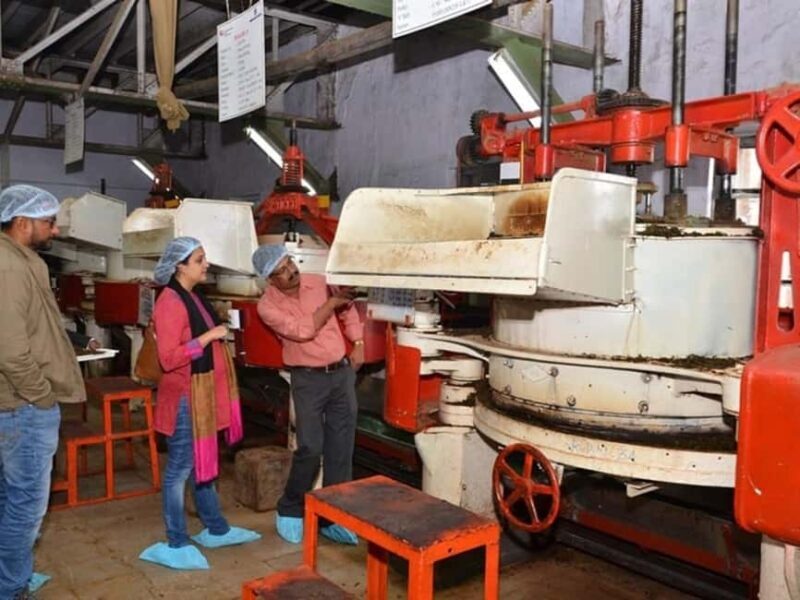 From Munnar: Tea Factory, Plantation, and National Park Tour - Discovering Munnar: A Full-Day Tour of Tea, Nature, and Culture