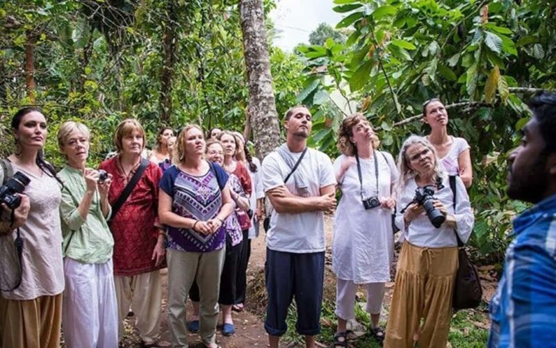 From Munnar: Tea Factory, Plantation, and National Park Tour - A Detailed Look at the Munnar Tour