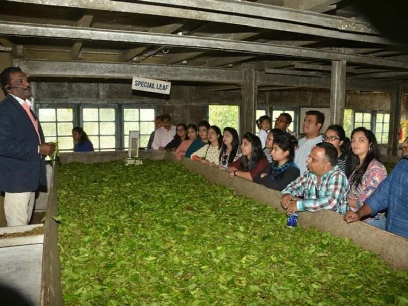 From Munnar: Tea Factory, Plantation, and National Park Tour - Who Would This Tour Suit Best?