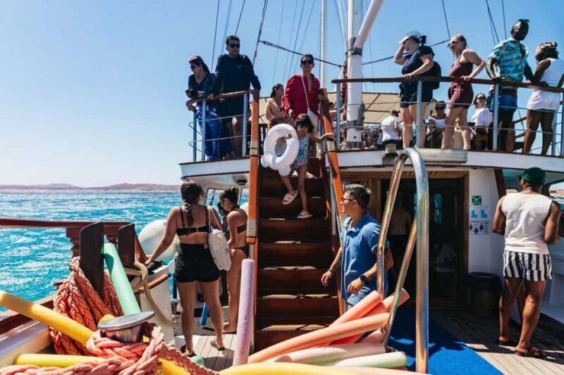 From Mykonos: Cruise to Delos and Rhenia with Lunch - The Experience for Different Travelers