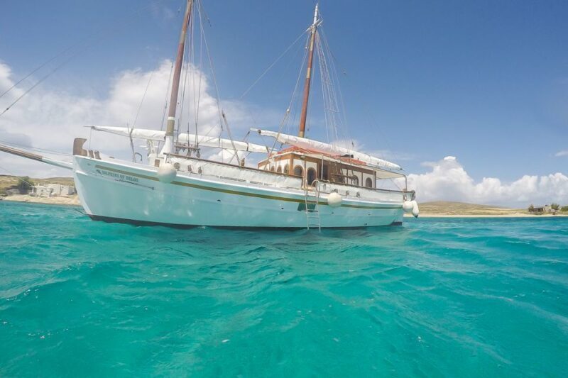 From Mykonos: Delos & Rhenia Islands Half-Day Trip by Boat - An Honest Look at the Tour Experience