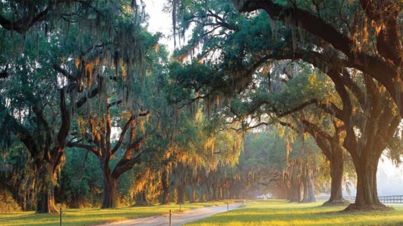From Myrtle Beach: Charleston Day Trip, Boone Hall & Cruise - Key Points