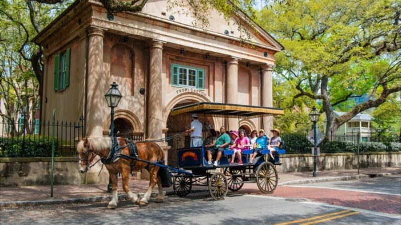 From Myrtle Beach: Charleston Day Trip, Boone Hall & Cruise - Who Should Consider This Tour?