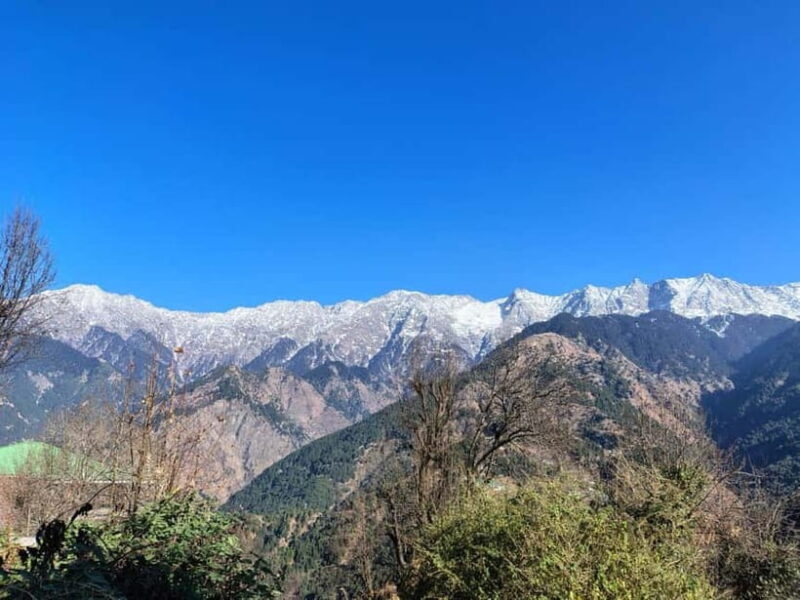 From Naddi: Guided Himalayan Nomad Culture & Nature Walk - Authentic Himalayan Experience with Real Cultural Insights