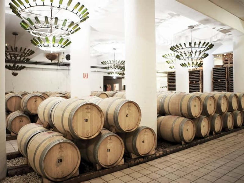 From Nafplio: Nemea, Wine Tasting Tour with Local Flavours - Exploring Nemea: The Heart of Greek Winemaking