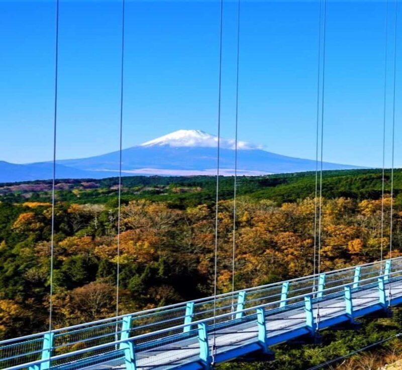 From Nagano: Mount Fuji Highlights & Hidden Landscapes Tour - Analyzing the Value