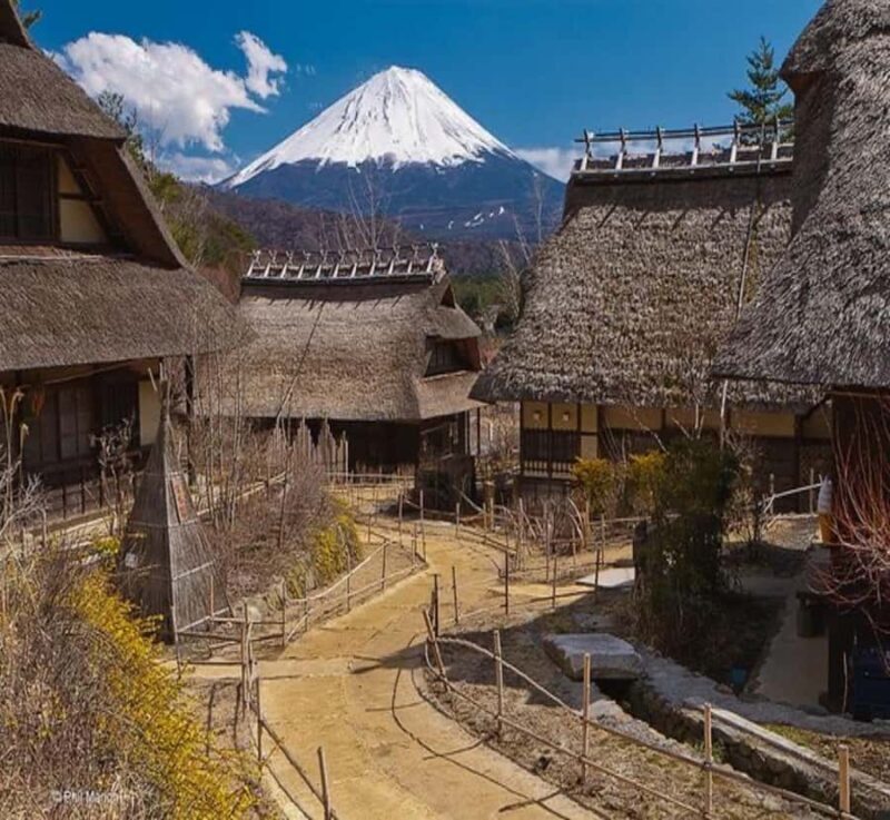 From Nagano: Mount Fuji Private Full-Day Customized Tour - Why the Private, Customizable Approach Works