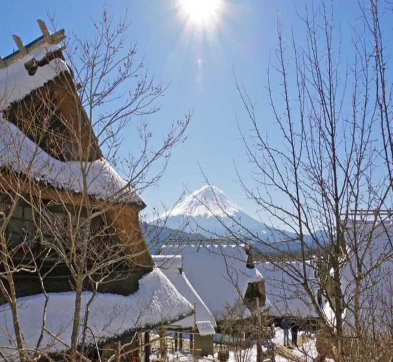 From Nagano: Mount Fuji Private Full-Day Customized Tour - What Real Travelers Say