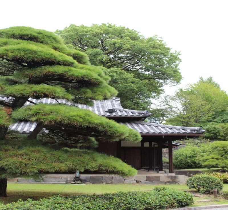 From Nagano: Private Guided Tour to Tokyo with Hotel Pickup - An in-depth look at this Nagano to Tokyo private tour