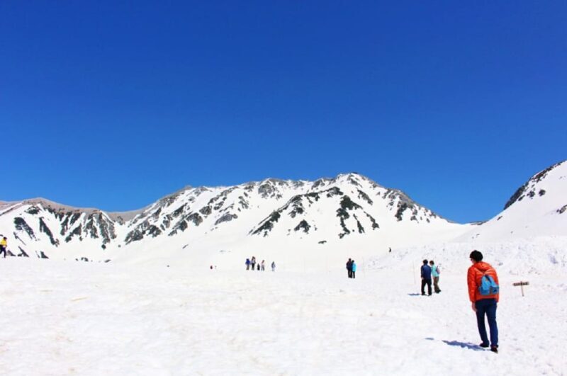 From Nagano: Tateyama-Kurobe Alpine Route - The Sum Up: Why This Tour Is Worth Considering