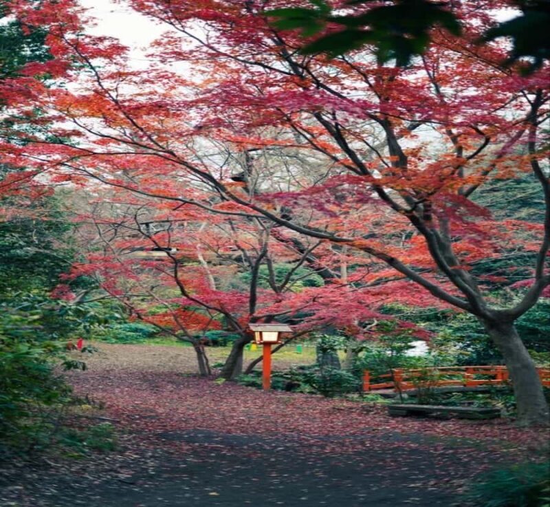 From Nagano: Tokyo Private Tour with Hotel Pickup - An In-Depth Look at the Tour Experience