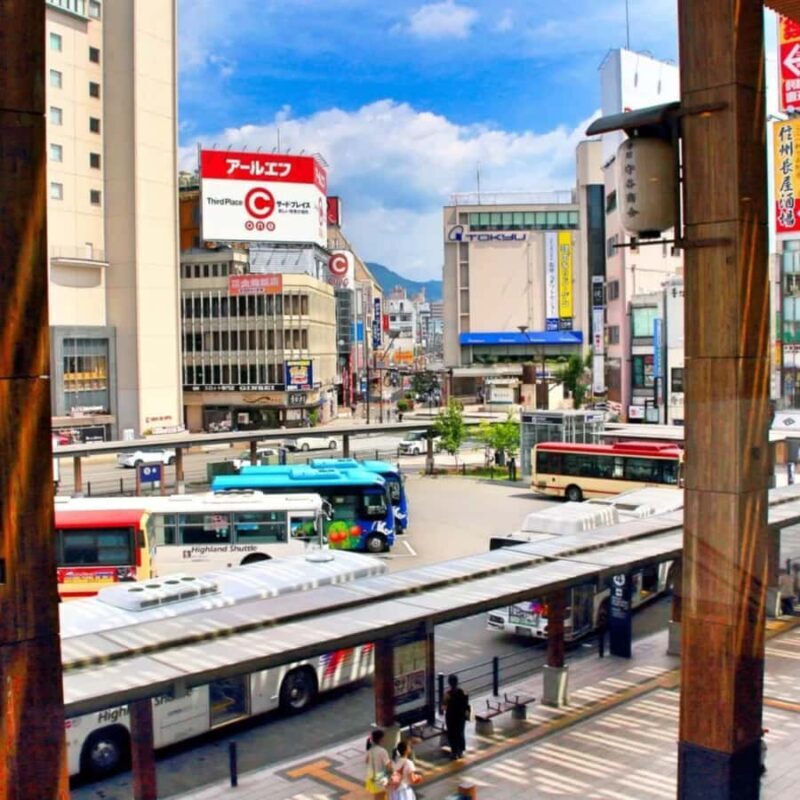 From Nagano & Tokyo: Snow Monkey Park Customise Private Tour - Summing Up: Who Should Consider This Tour?