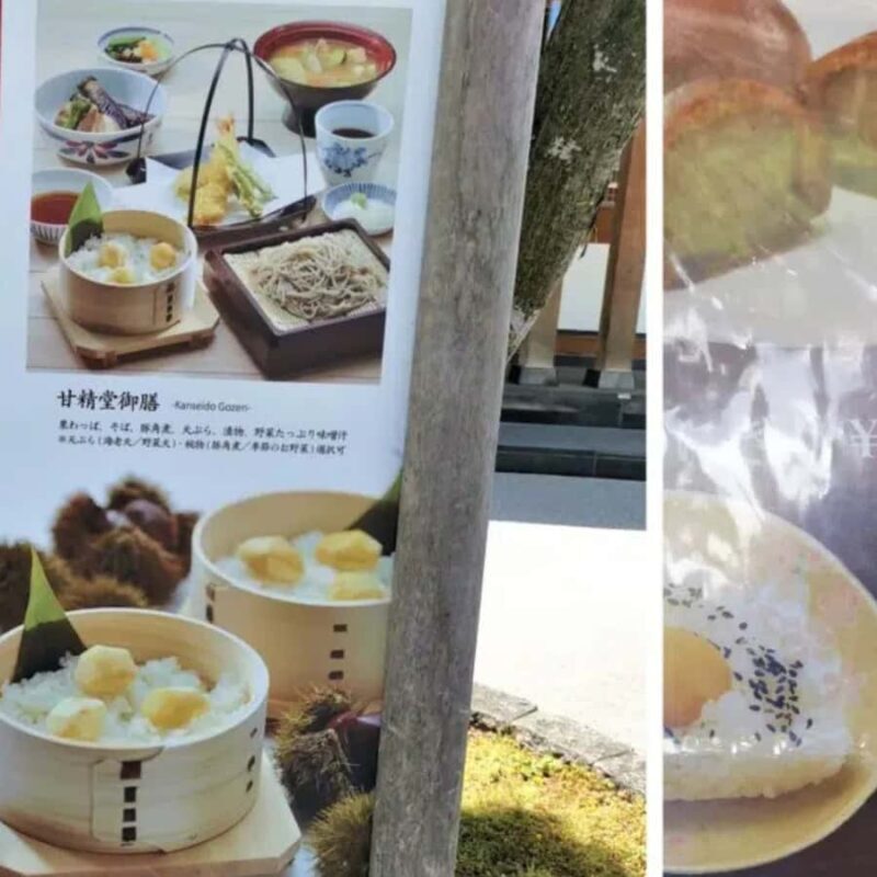 From Nagano & Tokyo: Snow Monkey Park Customise Private Tour - Final Thoughts