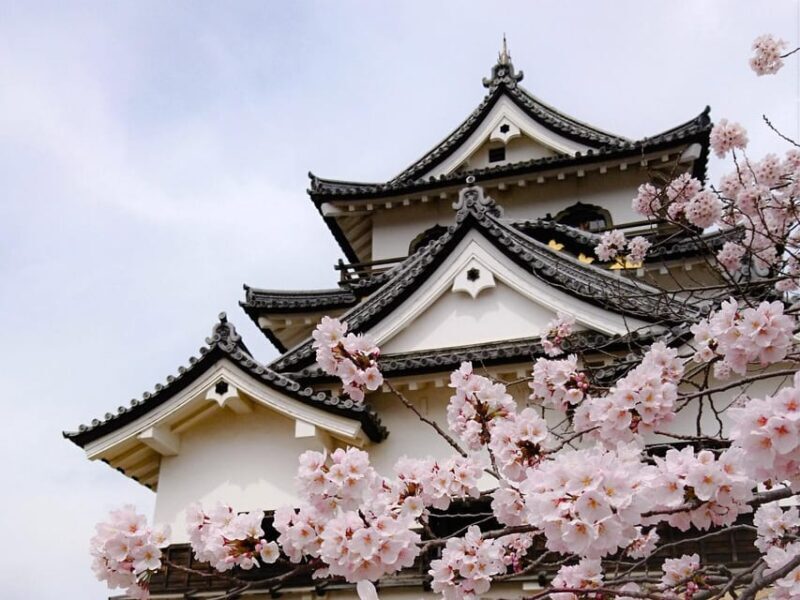 From Nagoya: Castles and Canals in Hikone and Omi Hachiman - An In-Depth Look at the Tour Experience