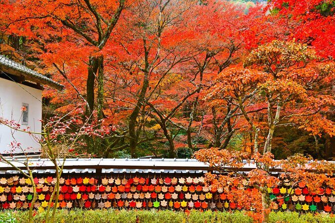 From Nagoya: Discover Aichi Korankei, Miso, & Inari Shrine - FAQ