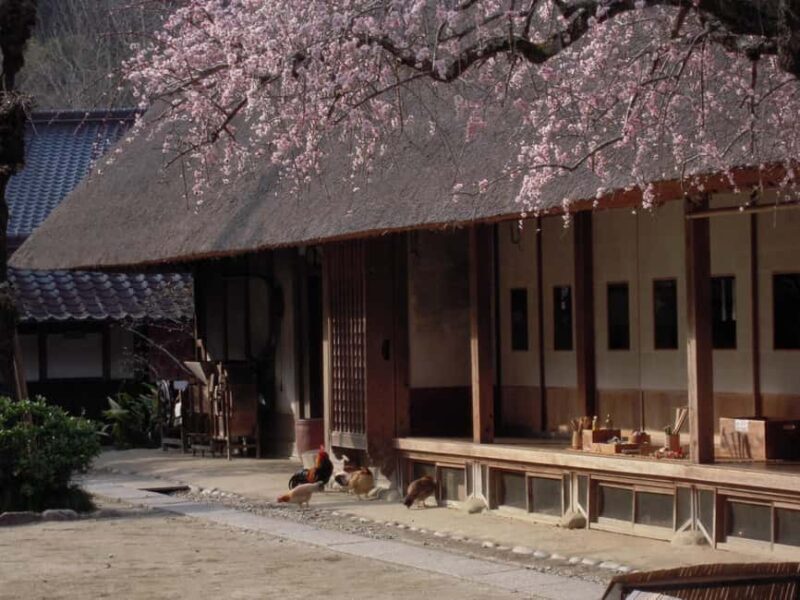 From Nagoya: Discover Aichi  Korankei, Miso, & Inari Shrine - Who Will Love This Tour?