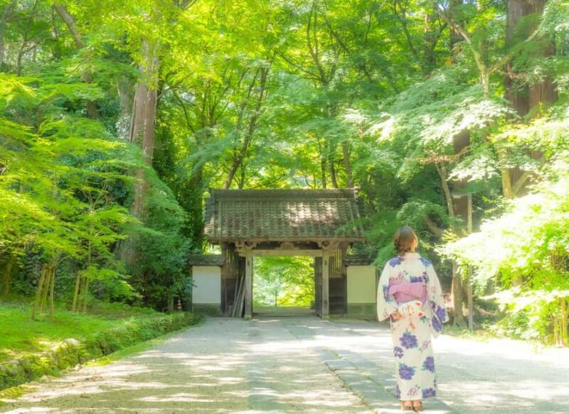 From Nagoya: Discover Aichi  Korankei, Miso, & Inari Shrine - The Sum Up